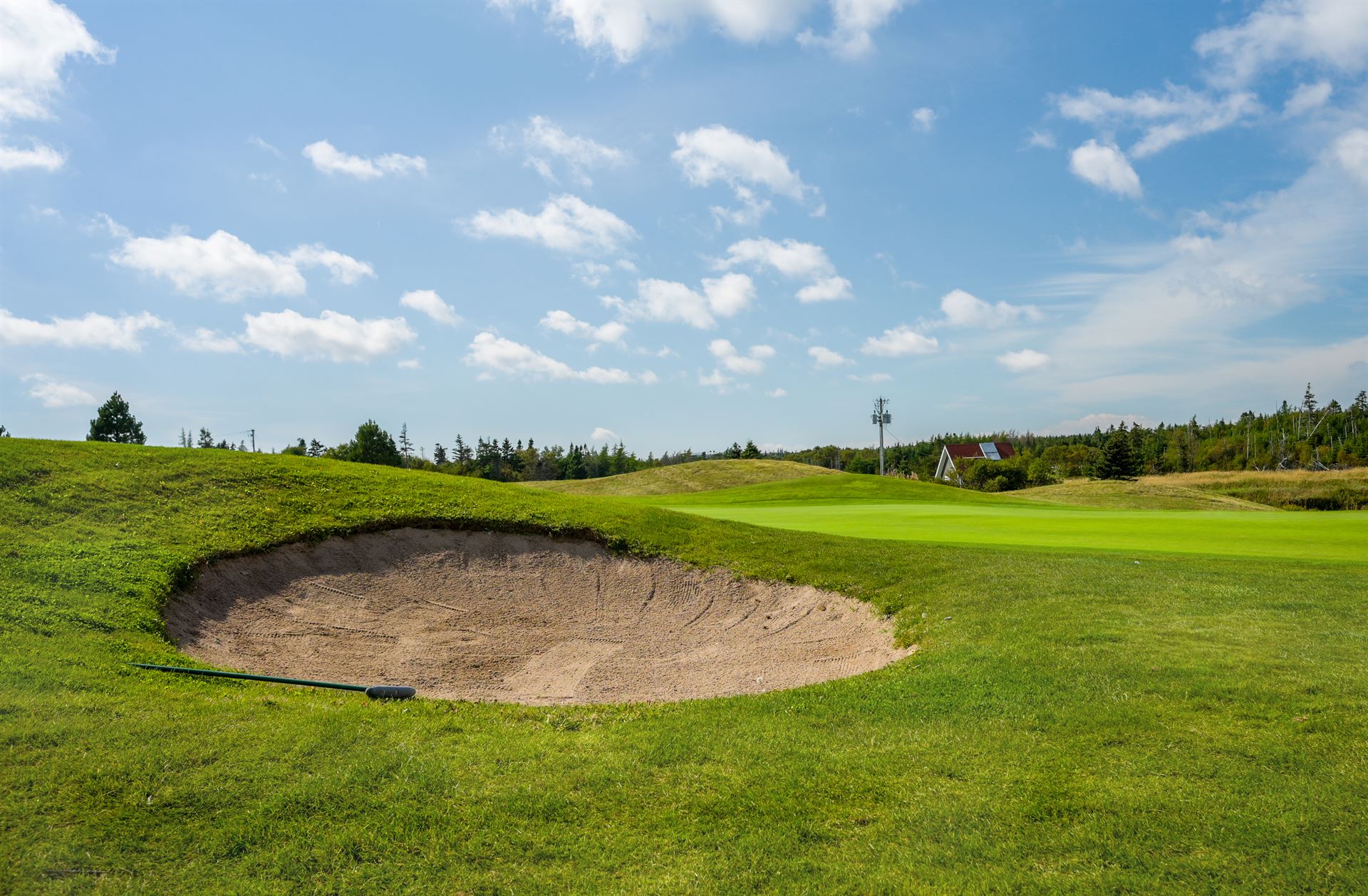 South Championship Course | Bally Haly Golf Club