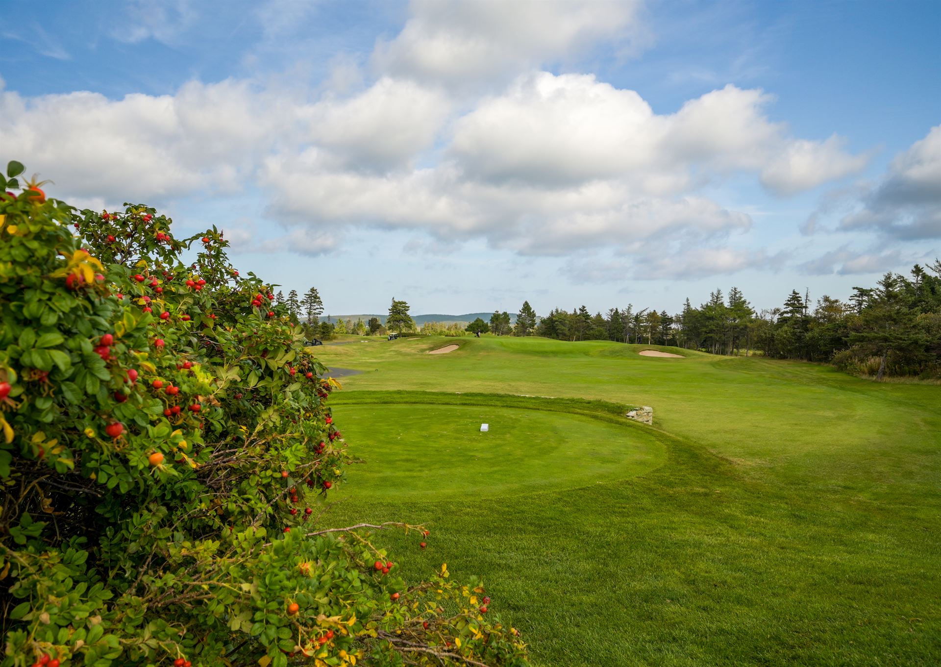 South Championship Course | Bally Haly Golf Club