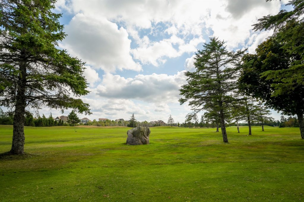 South Championship Course | Bally Haly Country Club