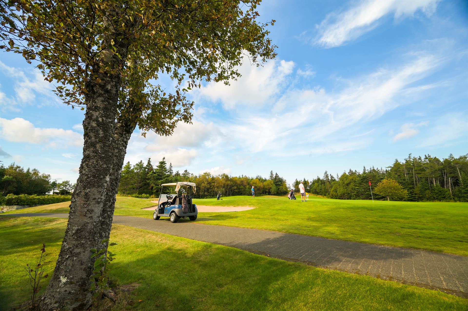 South Championship Course | Bally Haly Golf Club