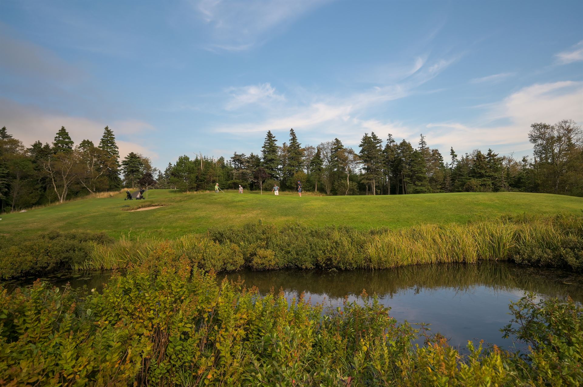 South Championship Course | Bally Haly Golf Club