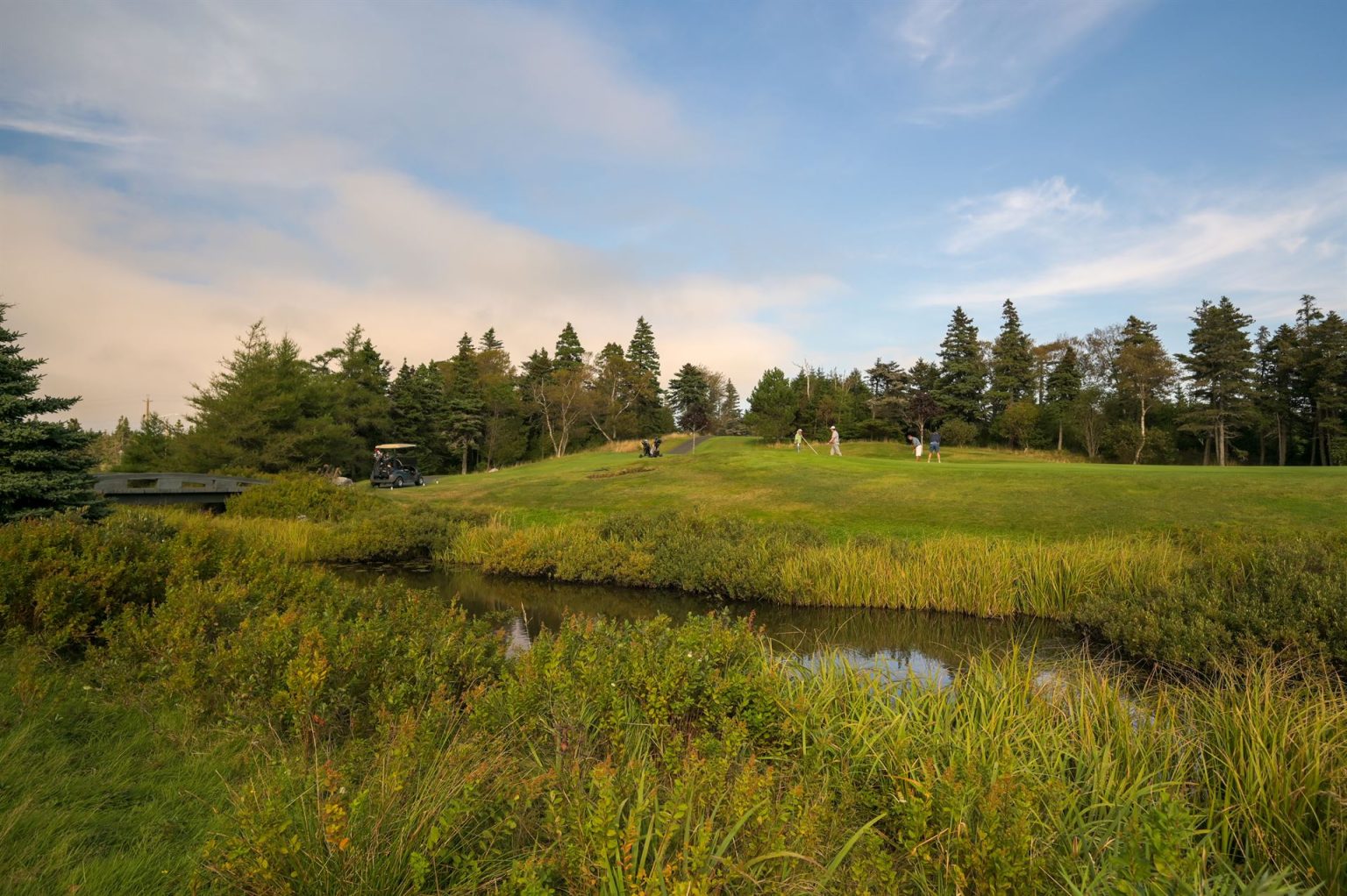 South Championship Course | Bally Haly Country Club