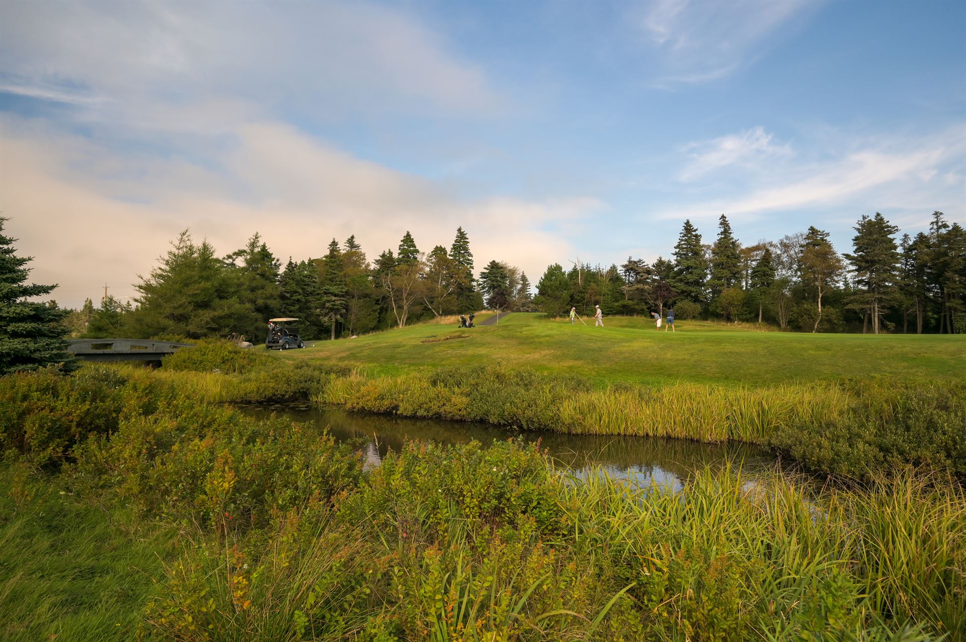 South Championship Course | Bally Haly Country Club