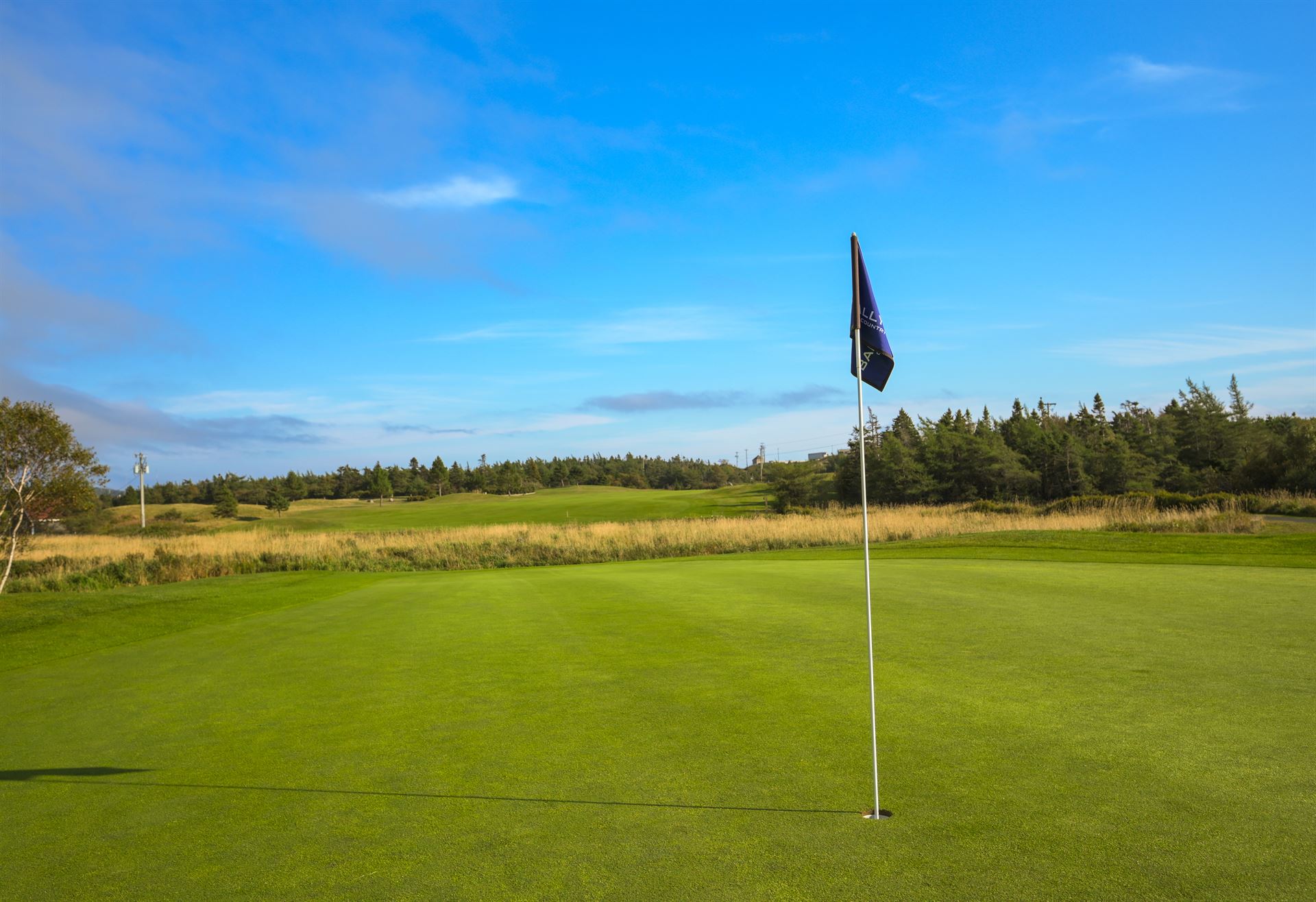 South Championship Course | Bally Haly Golf Club