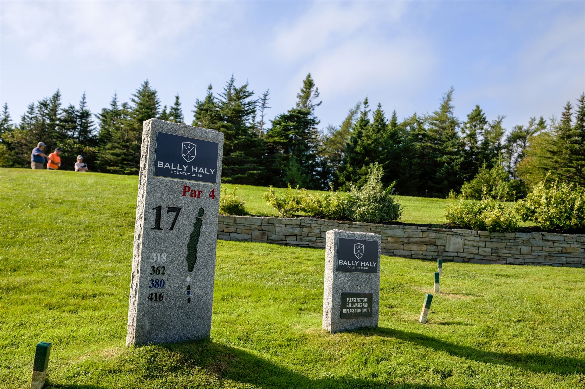 South Championship Course | Bally Haly Golf Club