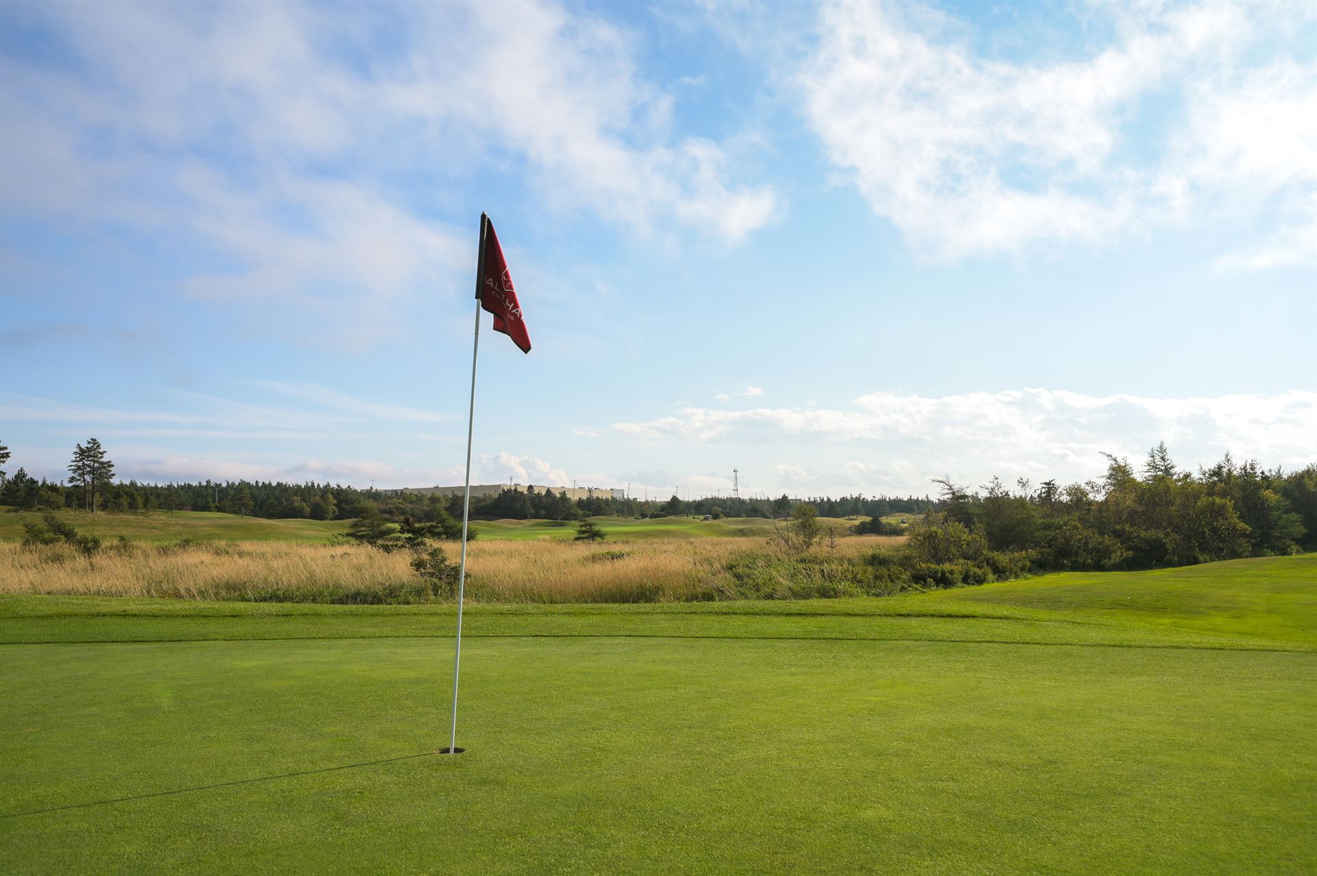 South Championship Course | Bally Haly Golf Club