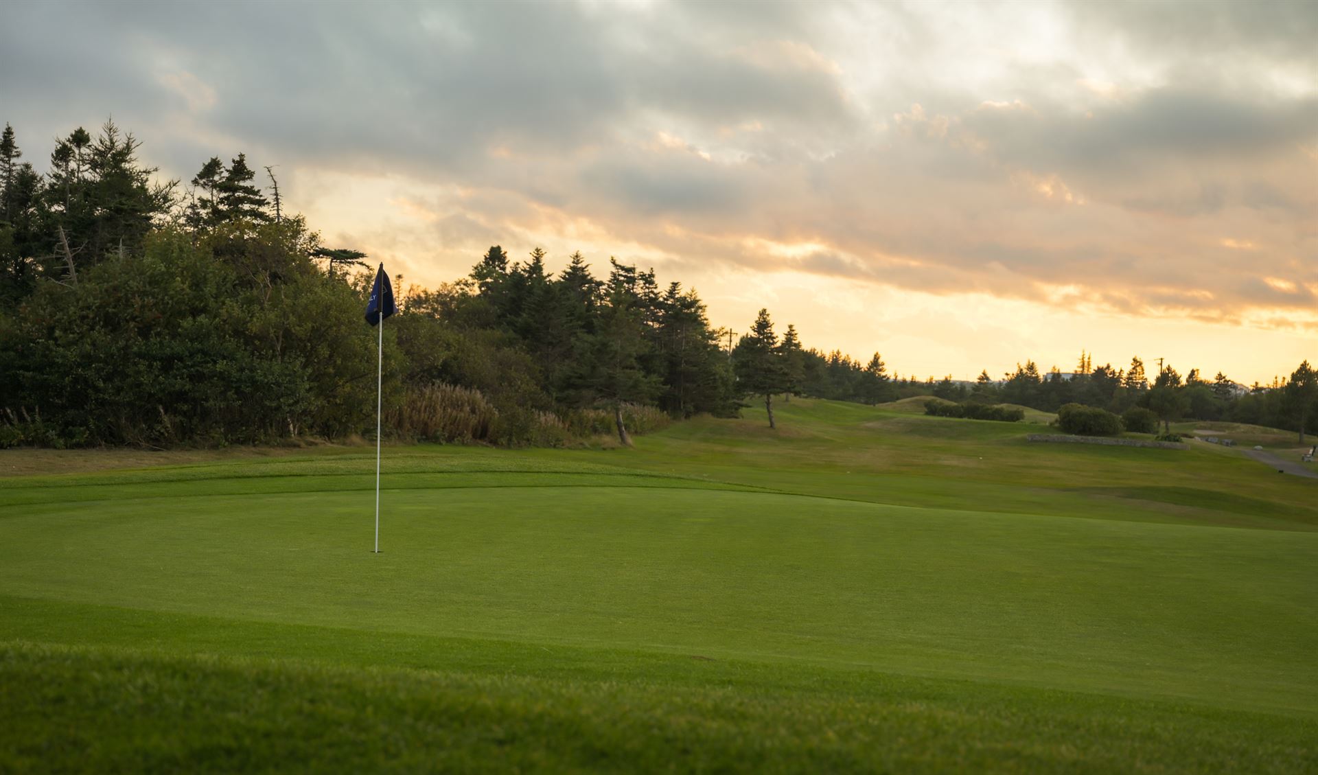 South Championship Course | Bally Haly Golf Club