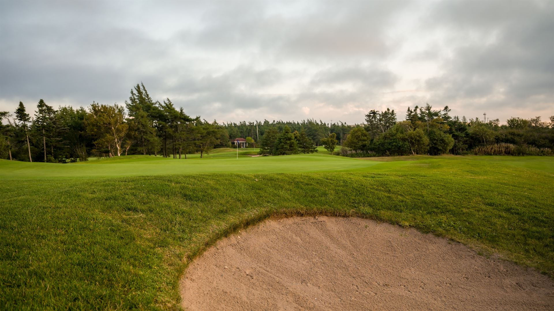 South Championship Course | Bally Haly Golf Club